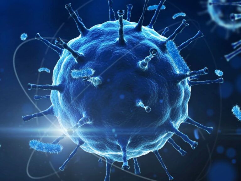 Respiratory Pathogen Panel (RPP) Test | All Seniors Foundation